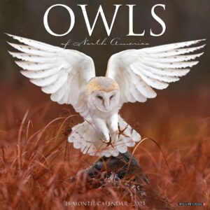 owls 2023 wall calendar