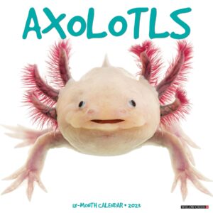 axolotls 2023 calendar