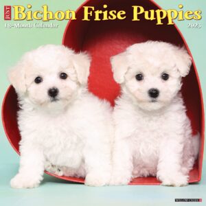 just bichon frise puppies 2023 wall calendar