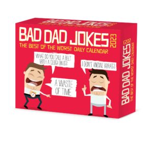 bad dad jokes 2023 box calendar