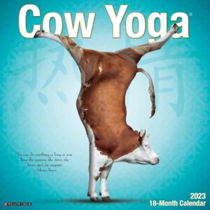 cow yoga 2023 wall calendar