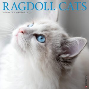 ragdoll cats 2023 wall calendar