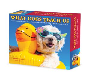 what dogs teach us 2023 box calendar