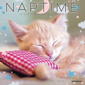 naptime (cats) 2023 mini wall calendar