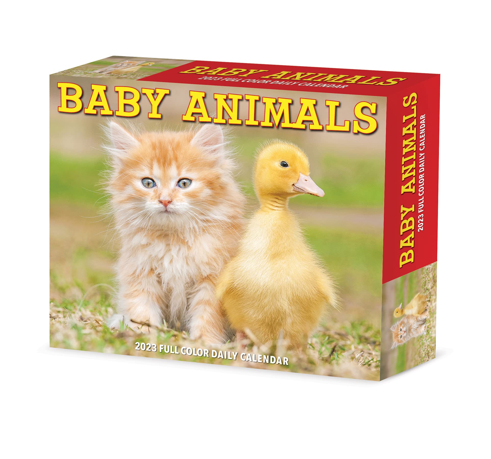 Baby Animals 2023 Box Calendar