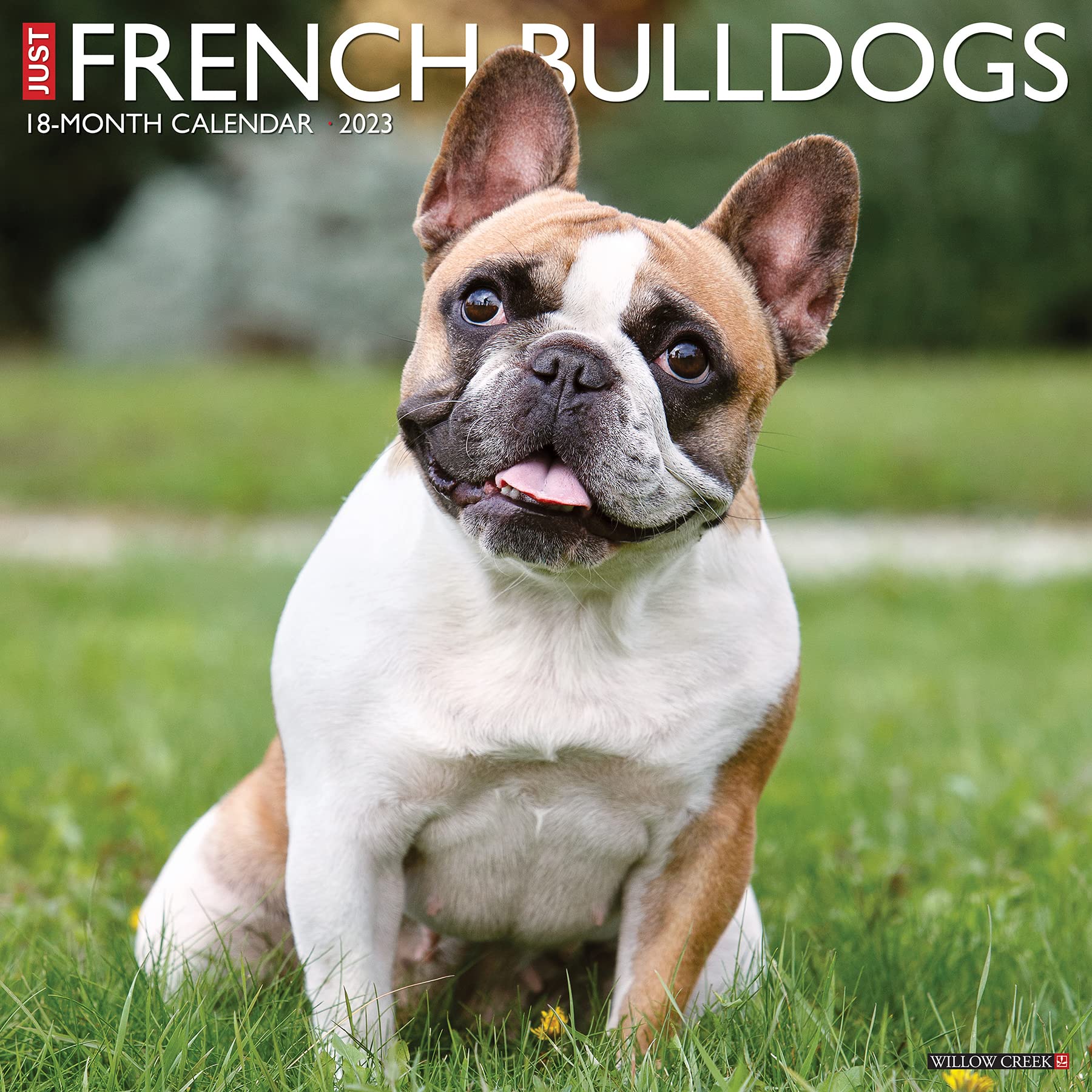 Just French Bulldogs 2023 Wall Calendar