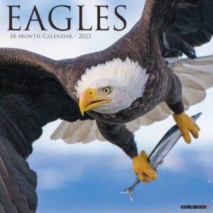 eagles 2023 wall calendar