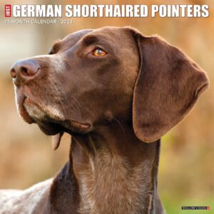 just german shorthaired pointers 2023 wall calendar