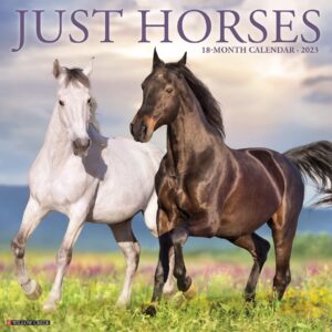 just horses 2023 wall calendar