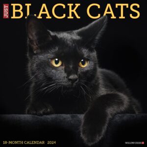 willow creek press black cats monthly 2024 wall calendar (12" x 12")