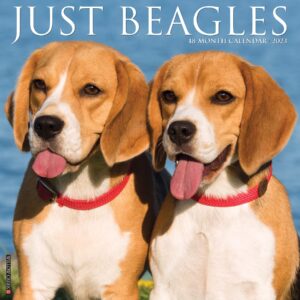 just beagles 2023 wall calendar