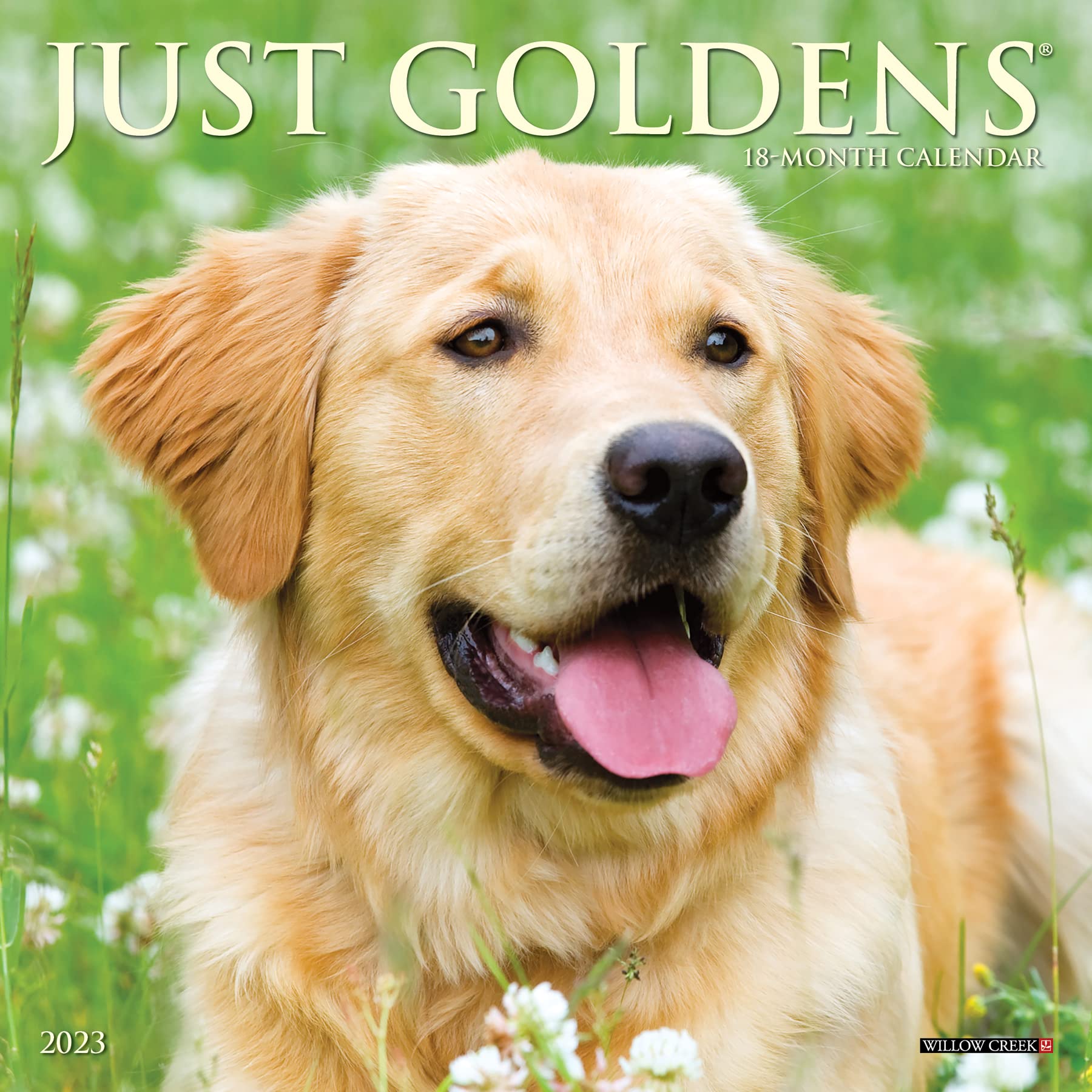 Just Goldens 2023 Mini Wall Calendar