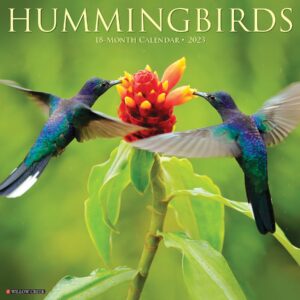 hummingbirds 2023 wall calendar