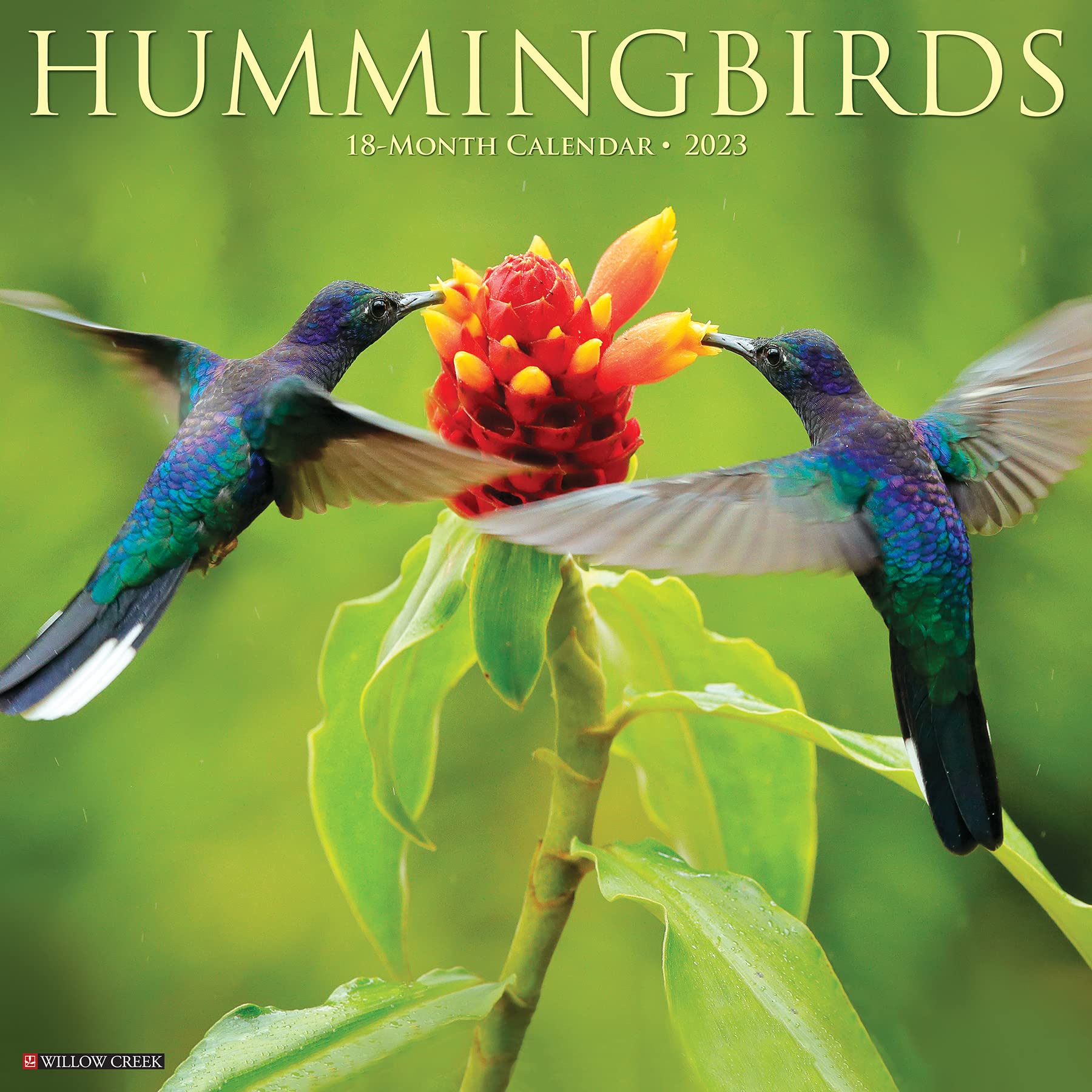 Hummingbirds 2023 Wall Calendar