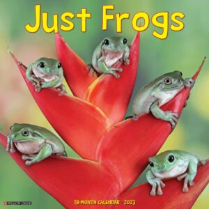 just frogs 2023 wall calendar