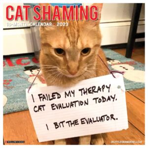 cat shaming 2023 wall calendar