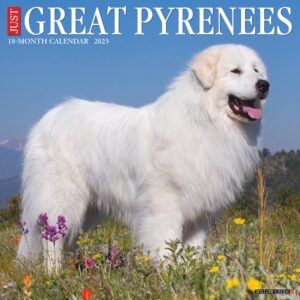 just great pyrenees 2023 wall calendar