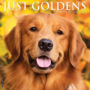 just goldens 2023 wall calendar