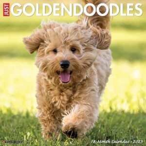 just goldendoodles 2023 wall calendar