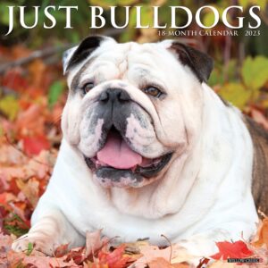 just bulldogs 2023 wall calendar