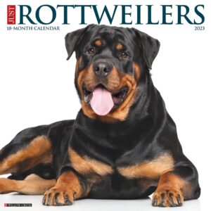 just rottweilers 2023 wall calendar