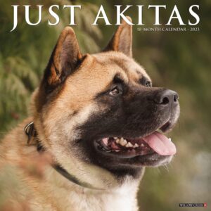 just akitas 2023 wall calendar