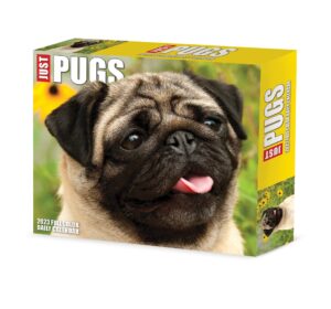 pugs 2023 box calendar