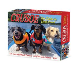 crusoe the celebrity dachshund 2023 box calendar