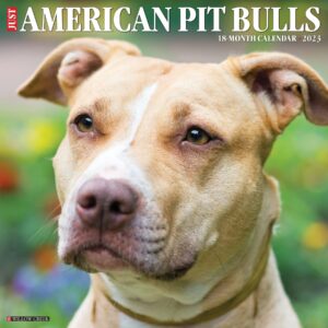 just american pit bull terriers 2023 wall calendar