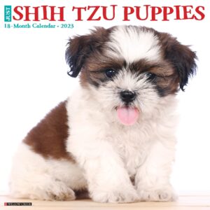 just shih tzu puppies 2023 wall calendar