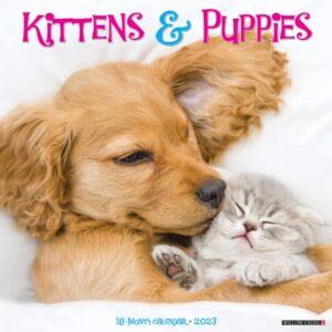 kittens & puppies 2023 wall calendar