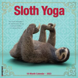 sloth yoga 2023 wall calendar