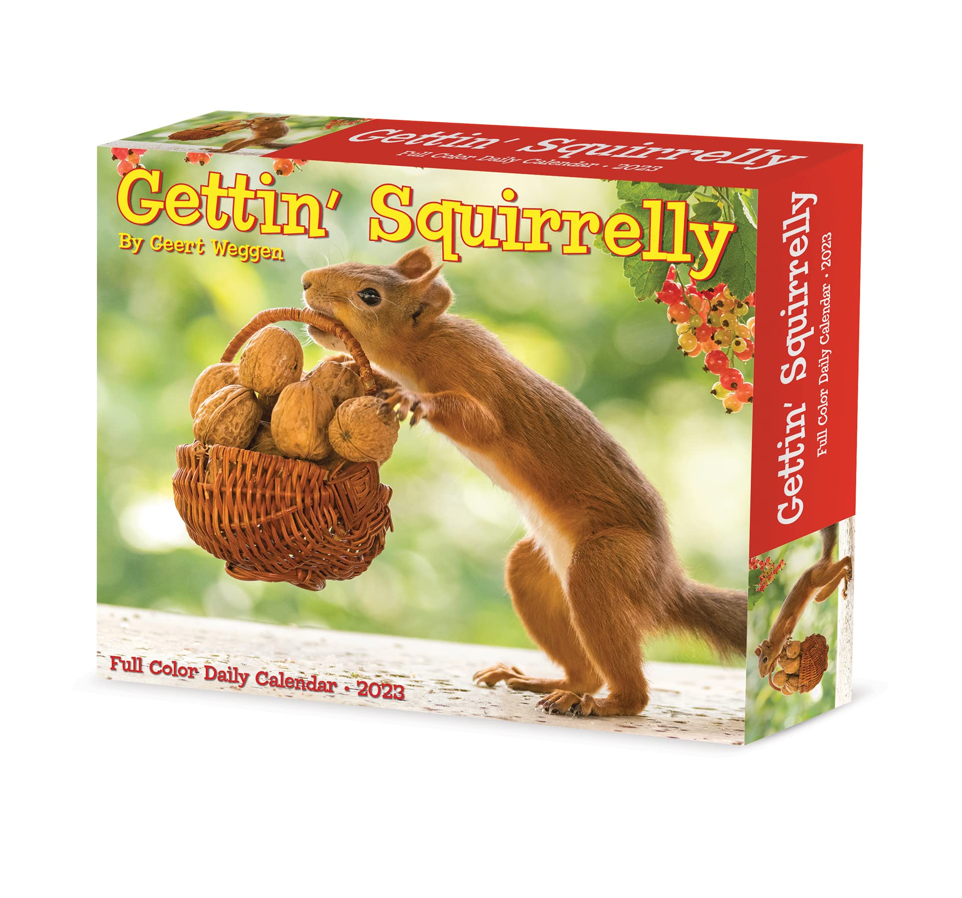 Gettin' Squirrelly 2023 Box Calendar