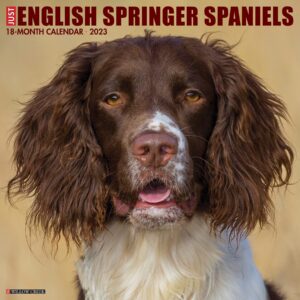 just english springer spaniels 2023 wall calendar