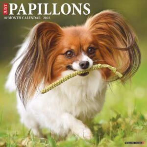 just papillons 2023 wall calendar