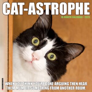 cat-astrophe 2023 wall calendar