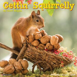 gettin' squirrelly 2023 wall calendar