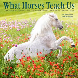 what horses teach us 2023 wall calendar