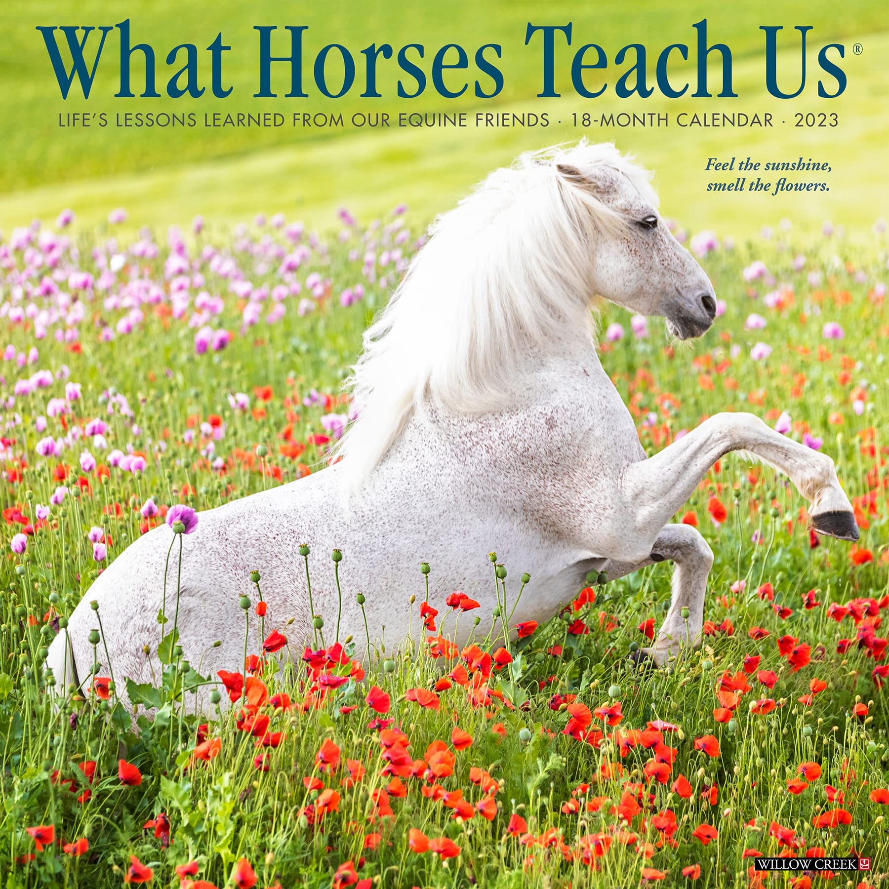 What Horses Teach Us 2023 Wall Calendar