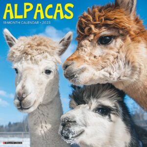 alpacas 2023 wall calendar