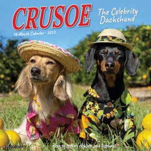 crusoe the celebrity dachshund 2023 wall calendar