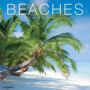 beaches 2023 wall calendar