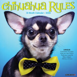 chihuahua rules 2023 wall calendar