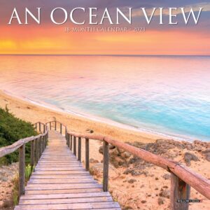 ocean view 2023 mini wall calendar