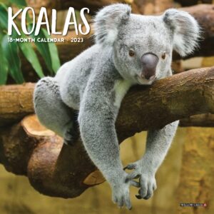 koala bears 2023 mini wall calendar