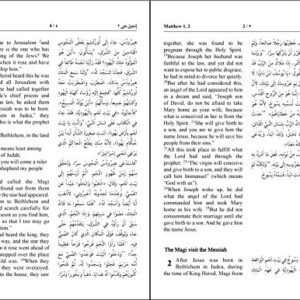 NAV, NIV, Arabic/English Bilingual New Testament, Leather-Look, Green (Arabic Edition)