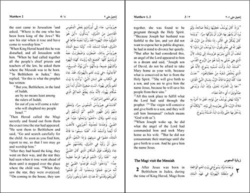 NAV, NIV, Arabic/English Bilingual New Testament, Leather-Look, Green (Arabic Edition)