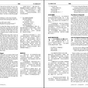 CUV (Simplified Script), NIV, Chinese/English Bilingual Bible, Bonded Leather, Black (Chinese Edition)