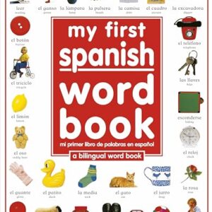 My 1st Spanish Word Book / Mi Primer Libro De Palabras EnEspanol: A Bilingual Word Book