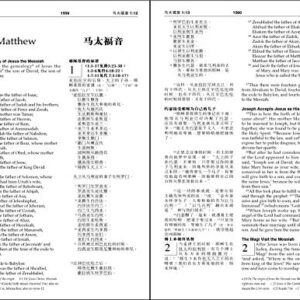 CUV (Simplified Script), NIV, Chinese/English Bilingual Bible, Bonded Leather, Black (Chinese Edition)